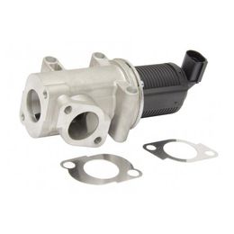 MAPCO AGR-Ventil 12V für ALFA ROMEO FIAT LANCIA 0000071723451 55215029 55204235 83000