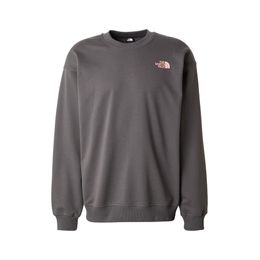 The North Face Sweatshirt 'U Expedition Celebration' male Grey size M