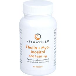 vitaworld Cholin & Inositol 450 mg/450 mg Kapseln 60 St