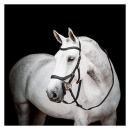Horseware Micklem Competition Bridle 3.0 braun WB