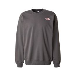 The North Face Sweatshirt 'U Expedition Celebration' Herren Gr&ouml;&szlig;e XS azur / pastellgelb / grau / pink