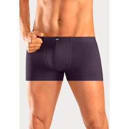 H.I.S. Boxer