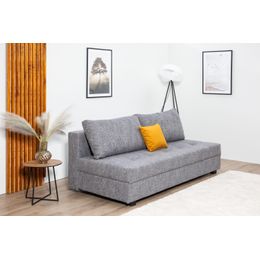 Schlafsofa Collection AB "DARIA inklusive Schlafunktion und Bettkasten", grau, B:194cm H:41cm T:90cm, 100%Polyester, Sofas, Schlafsofa, Schlafsofa,Bettfunktion,Bettkasten,inklusive R&uuml;ckenkissen,Federkern