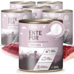 REAVET Hunde Nassfutter - Ente PUR 6x800 g