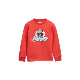 Sweater Tom Tailor, Jungen, Gr. 104/110, rot (soft rot), Sweatware, Obermaterial: 70% Baumwolle, 30% Polyester, bedruckt, regular fit hüftbedeckend, Rundhals, Bündchen, Sweatshirts, mit Print