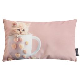 MAGMA Kissen KATZE
