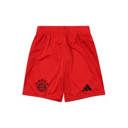 adidas Performance Sportshorts 'FC Bayern 24/25 Home' Jungen Größe 152 knallrot / schwarz