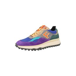Floris van Bommel Sneaker low ' De Gripper 05.01 ' Herren Gr&ouml;&szlig;e 41.5 bunt