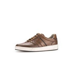 Pius Gabor Sneaker low in braun | Gr.: 49,5