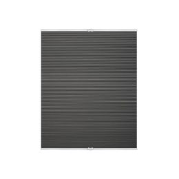 LICHTBLICK Plissee in Grau | Gr.: 50 x 130 cm