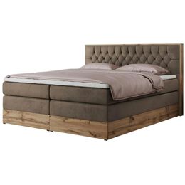 Höffner Boxspringbett mit Bettkasten Amore King braun Maße (cm): B: 148 H: 115 » Höffner