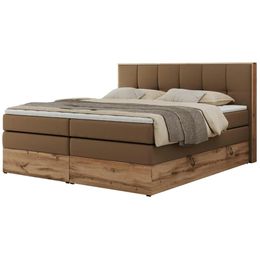 Höffner Boxspringbett mit Bettkasten Albero 1 King ¦ braun ¦ Maße (cm): B: 148 H: 113 » Höffner