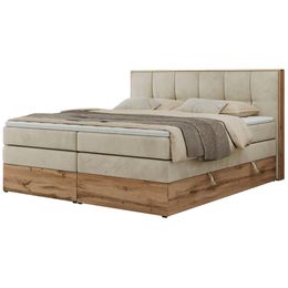 Höffner Boxspringbett mit Bettkasten Albero 1 King ¦ beige ¦ Maße (cm): B: 148 H: 113 » Höffner