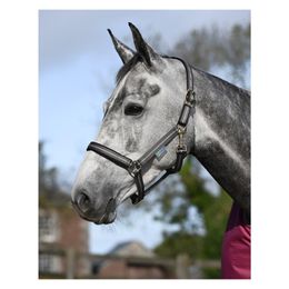 Bucas Halfter Dublin smoke grey VB