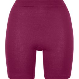 w&auml;schepur Damen Longpanty mit hoher Taille brombeere, Gr&ouml;&szlig;e 50