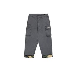 Alpha Industries Cargo Pants male Grey size 33
