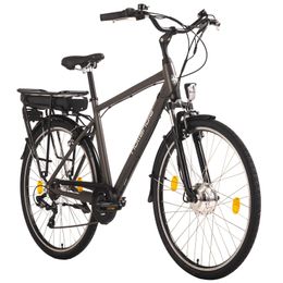 HOLLANDIA E-Citybike Herren 28'' HOLLANDIA Zagon Grau 6 G&auml;nge