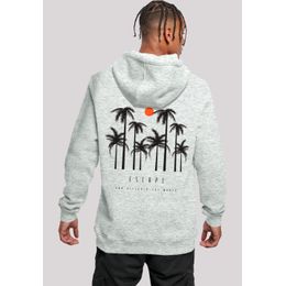 Kapuzenpullover F4NT4STIC "Escape Discover the World Palm Trees", Herren, Gr. L, grau (erdgrau), Obermaterial: 65% Baumwolle, 35% Polyester, slim fit, Pullover Kapuzenpullover, Discover the World