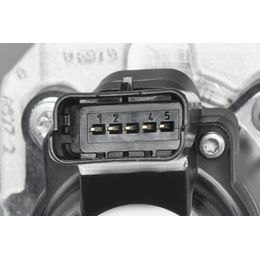 Valeo AGR-Ventil 5-polig für SUZUKI PEUGEOT MINI FIAT CITROËN MAZDA FORD VOLVO 1479057 1618-59 Y60520300B 700474