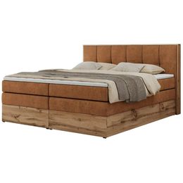 Höffner Boxspringbett mit Bettkasten Albero 1 King ¦ orange ¦ Maße (cm): B: 208 H: 113 » Höffner
