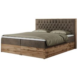 Höffner Boxbett mit Bettkasten Amore ¦ braun ¦ Maße (cm): B: 148 H: 115 » Höffner