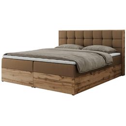 Höffner Boxbett mit Bettkasten Albero 1 ¦ braun ¦ Maße (cm): B: 188 H: 104 » Höffner