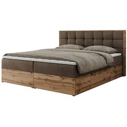 Höffner Boxbett mit Bettkasten Albero 1 ¦ braun ¦ Maße (cm): B: 148 H: 104 » Höffner