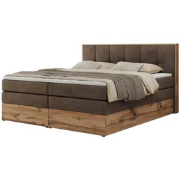Höffner Boxspringbett mit Bettkasten Albero 1 King ¦ braun ¦ Maße (cm): B: 168 H: 113 » Höffner