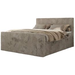 Höffner Boxbett mit Bettkasten Tiliano Duo ¦ braun ¦ Maße (cm): B: 204 H: 119 » Höffner
