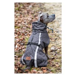 pawberry Softshell-Hundemantel Reus steelgrey 55 cm