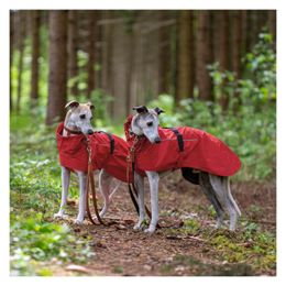 pawberry Hundemantel Rainstormer rot 50 cm