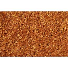 Miltex Schmutzfangmatte EAZYCARE COLOR, f&uuml;r innen, LxB 900 x 1500 mm, orange