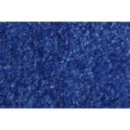 Miltex Schmutzfangmatte EAZYCARE COLOR, f&uuml;r innen, LxB 900 x 1500 mm, blau