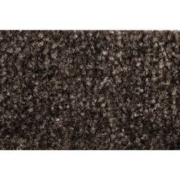 Miltex Schmutzfangmatte EAZYCARE COLOR, f&uuml;r innen, LxB 1200 x 1800 mm, braun