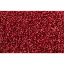 Miltex Schmutzfangmatte EAZYCARE COLOR, f&uuml;r innen, LxB 600 x 900 mm, weinrot