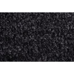 Miltex Schmutzfangmatte EAZYCARE COLOR, f&uuml;r innen, LxB 400 x 600 mm, schwarz