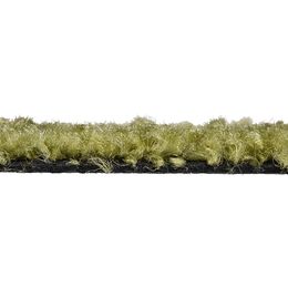 Miltex Schmutzfangmatte EAZYCARE COLOR, f&uuml;r innen, LxB 1200 x 1800 mm, gr&uuml;n