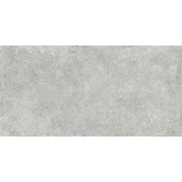 Bodenfliese 'Forma' Feinsteinzeug grau 60 x 120 x 0,95 cm