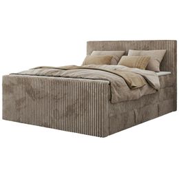Boxspringbett mit Bettkasten Tiliano King Duo braun Maße (cm): B: 144 H: 119 Betten > Betten nach Art > Boxspringbetten » DeinBett