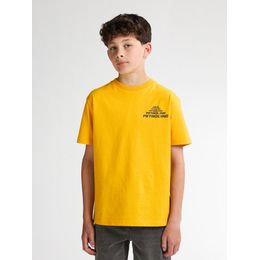 PETROL INDUSTRIES R&uuml;ckenprint T-Shirt Gro&szlig;e Teilung in Gelb | Gr.: 152