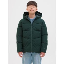 Jack & Jones JACK & JONES JUNIOR Steppjacke »JJGLOBAL PUFFER JACKET JNR« mit Kapuze Scarab 176 176 Gesteppte Jacke von Jack & Jones Junior
