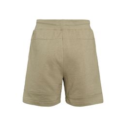 U.S. Polo Assn. Badeshorts »Swimshorts Briggs« Crockery L - Normalgrößen Normalgrößen L Stylische Badeshorts für den Sommer