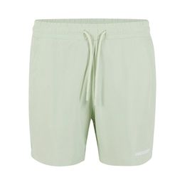 Pegador Board Shorts male Green size S