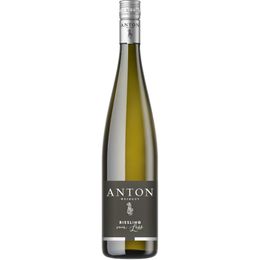 Weingut Anton vom L&ouml;ss Riesling 2024 Trocken - Herxheimer Pfalz &ndash; Wei&szlig;wein Qualit&auml;tswein