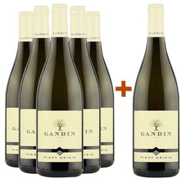 Gandin 5+1 Paket Friuli Isonzo Pinot Grigio 2024 Trocken - Friaul &ndash; Probierpaket DOC