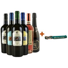 Fattoria Uccelliera Wei&szlig;weine-Kennenlern-Paket - Toskana &ndash; Probierpaket Diverse