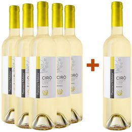 Cantina Malena 5+1 Paket Bianco Cir&oacute; Classico Greco 2024 Trocken - Kalabrien &ndash; Probierpaket DOC