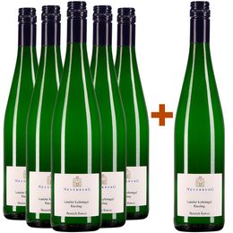 Weinhaus Neuerburg 5+1 Paket "Kaseler Kehrnagel" Riesling 2022 Trocken - Mosel &ndash; Probierpaket Sp&auml;tlese