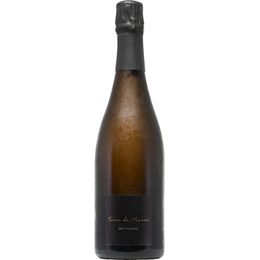 Celler Terra de Marca Cava DO brut nature Cuv&eacute;e 2021 Brut - Katalonien &ndash; Perl- & Schaumwein DOP