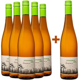 Weingut Weinpause 5+1 Paket Souvignier Gris 2023 Trocken - Rheingau &ndash; Probierpaket Qualit&auml;tswein